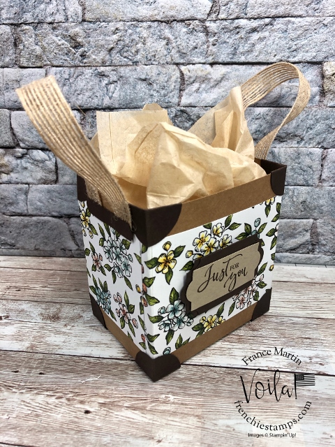 Projects with the Mini Shipping Boxes by Stampin'Up!® - Frenchie Stamps