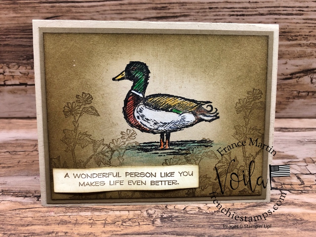 Wood Duck Card with the Field Journal stamp set and watercolor pencils ...