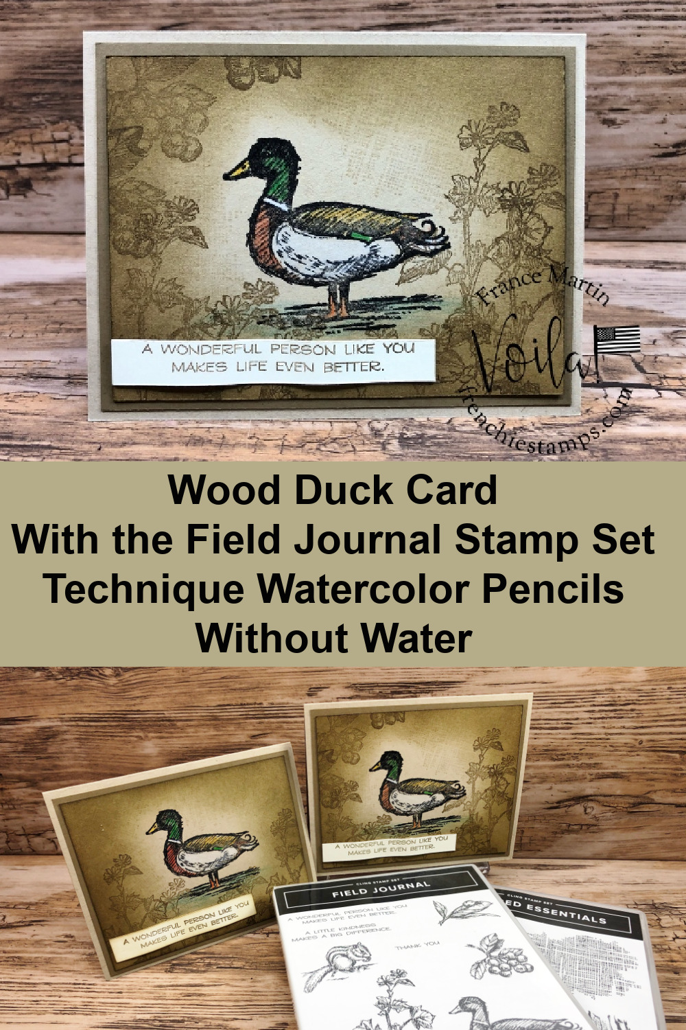 Wood Duck Card with the Field Journal stamp set and watercolor pencils ...