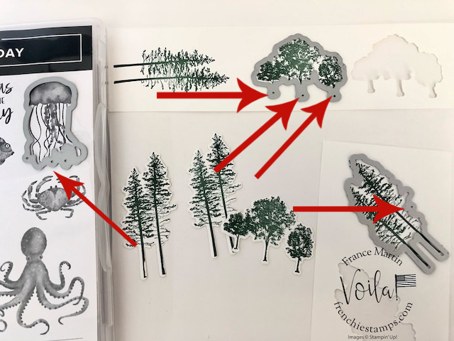 Tips to Die-Cut With Detail Outlined Die - Frenchie Stamps