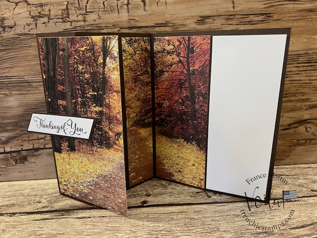 Scenery Designer Paper Simple Fun Fold - Frenchie Stamps